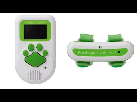 Coming Soon: Universal Pet Translator! - YouTube