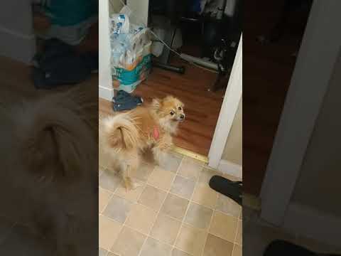 This happens everytime I go poop