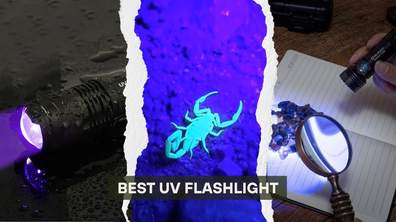 5 Best UV Flashlights 2026! Find Hidden Stains & More! - YouTube
