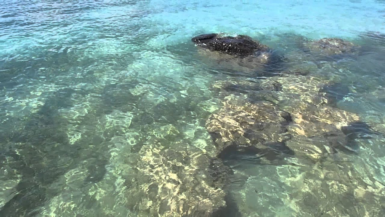 Playa Tortuga, Culebrita, Puerto Rico. Jan 2015 - YouTube