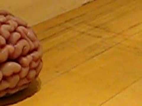 Vibrating Brain - YouTube