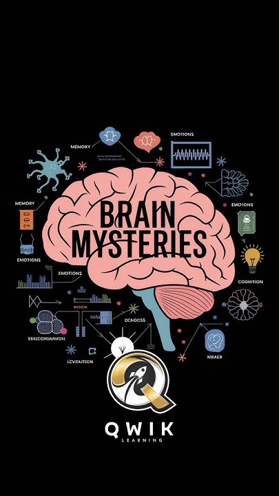 Explaining Brian's Brain: How It Works & What It Means - YouTube