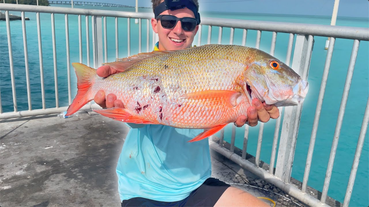 EPIC Day Bridge Fishing!!! MONSTER Snapper from Florida Keys Bridge ...