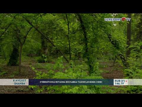 O‘zbekistonda botanika bog‘lariga tashriflar keskin oshdi