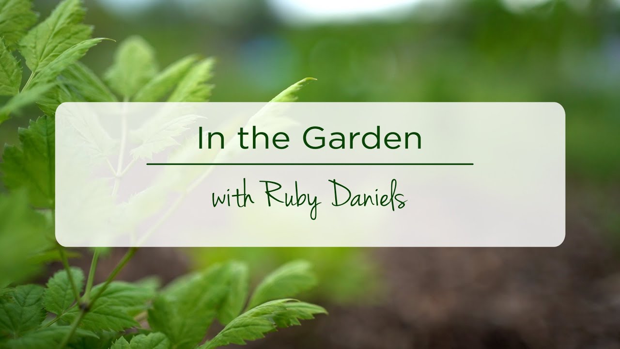 In the Garden with Ruby Daniels - YouTube