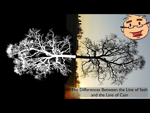 Seth In Bible Family Tree Chart Of Chronology From Adam To Noah