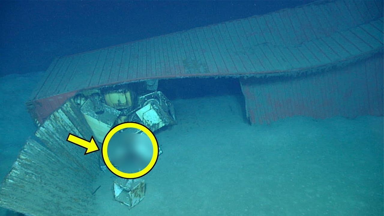 Underwater Robot Captures Sunken Container, Researchers Turn Pale When ...