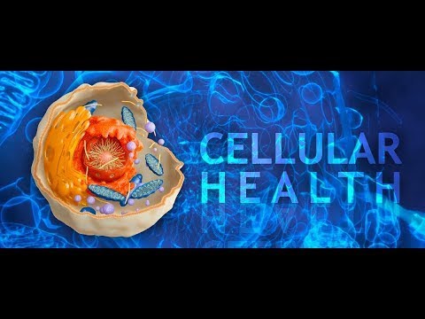 Cellular Nutrition. NeoLife story of scientific excellence. - YouTube