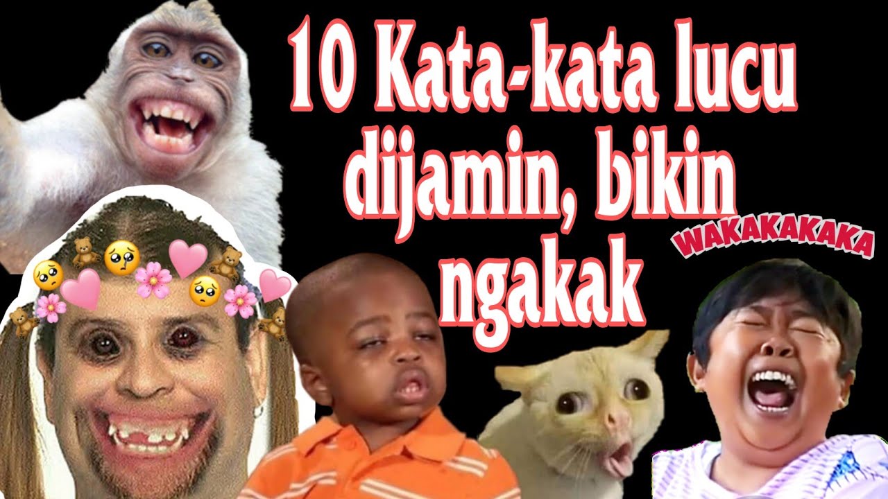 Kata kata Lucu Bikin Ngakak dan Menghibur, Pasti ketawa ‼️ - YouTube