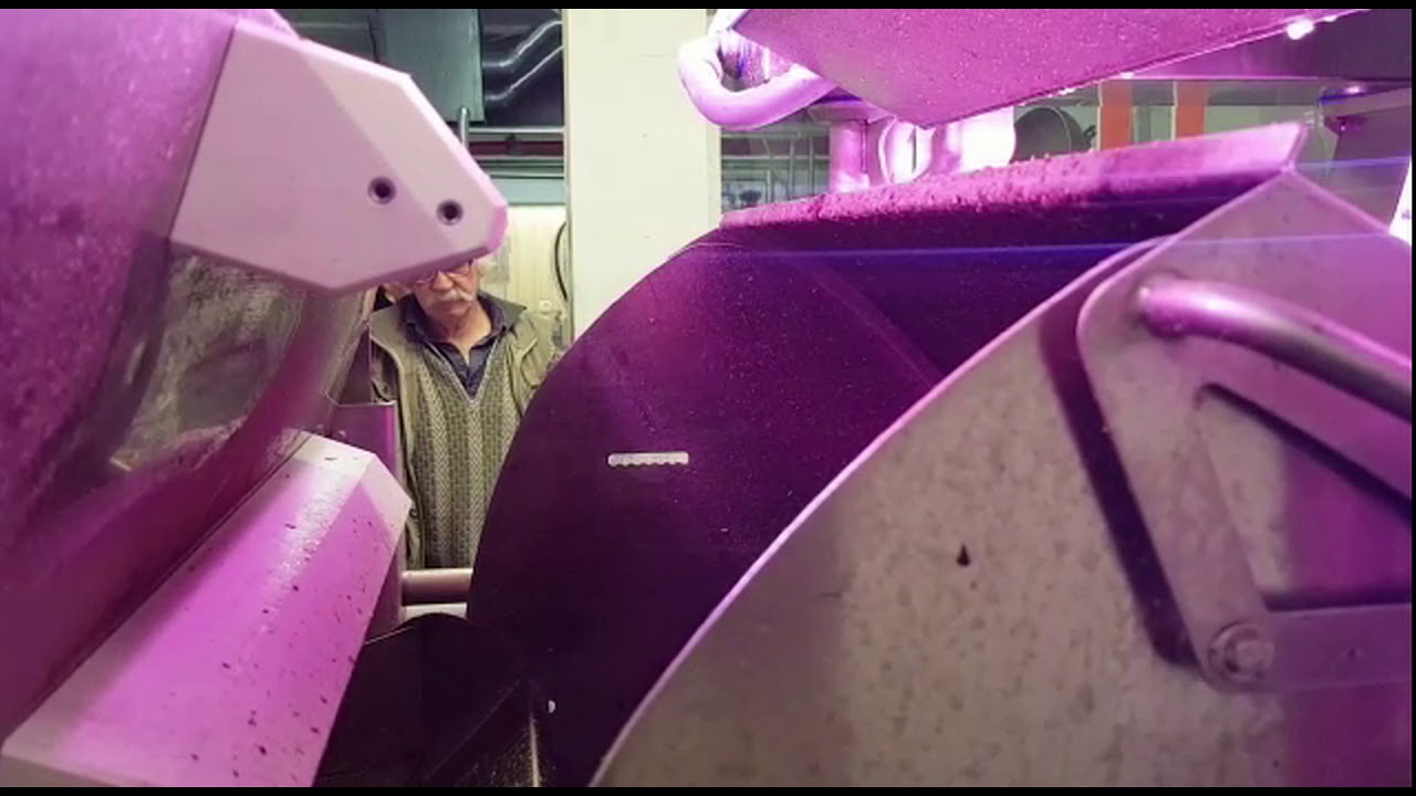 Dryce optical sorter for chestnuts | Raytec Vision - YouTube