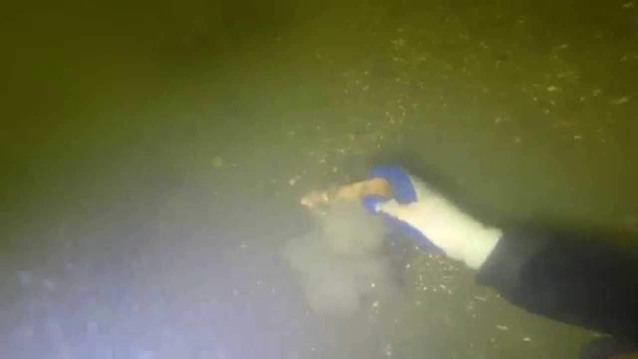 Diving For Megalodon Teeth In The Lowcountry With The Shark Tooth Fairy ...