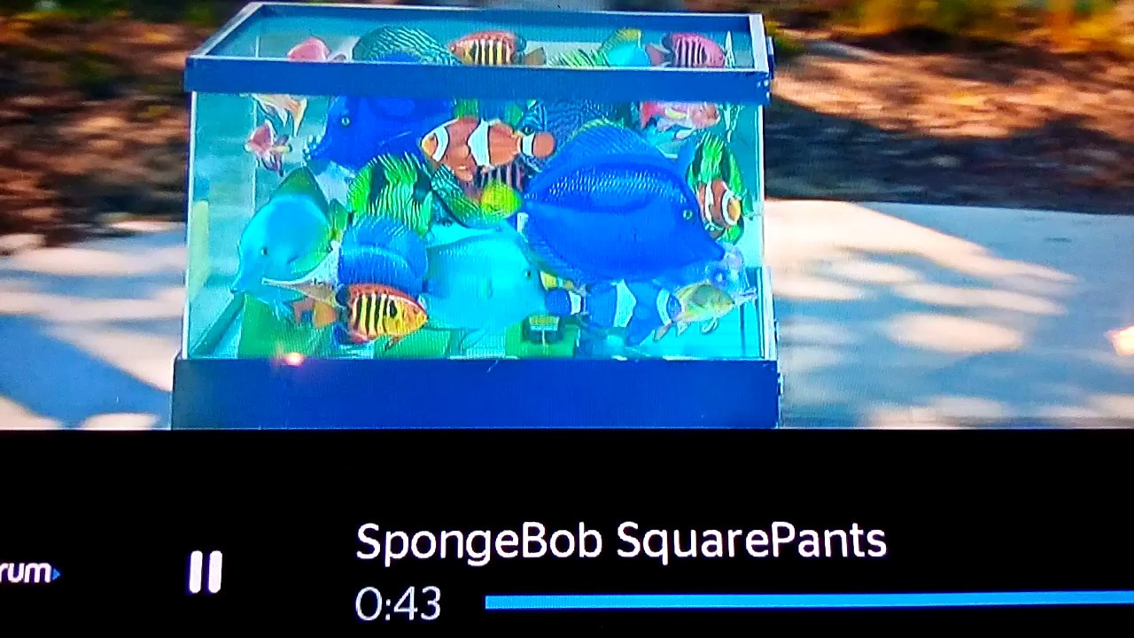 Finding Nemo In Spongebob Squarepants!!!!!! 😮😮😮😮😮 - YouTube