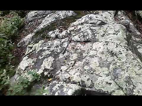 I hiked to the top of short Mountain West Virginia