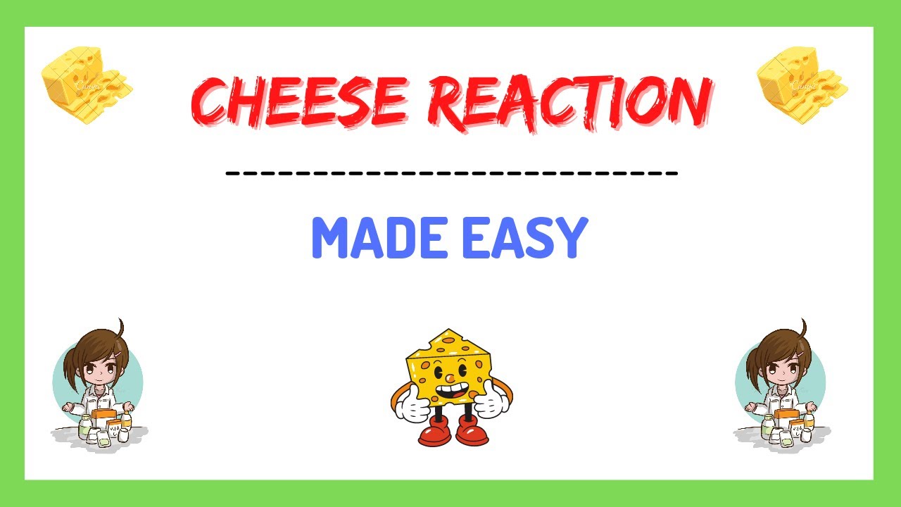 Mechanism of Cheese Reaction| Drug interactions| Pharmacology| Made ...