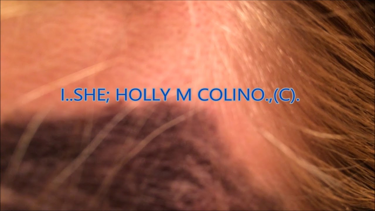 Holly Colino: Suspect in Megan Dix killing may have posted odd videos