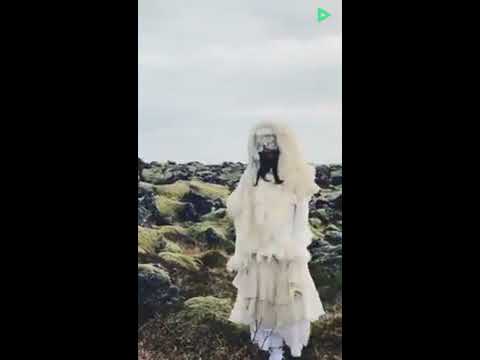 Rokutousei no yoru – Aimer (only voice)