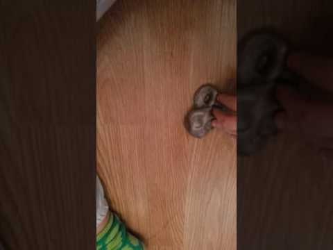 Slime mıncıklama!!!!