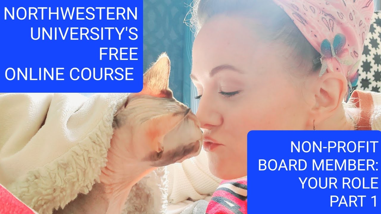 Northwestern University's Free Online Non-Profit Course: Your Role Part ...