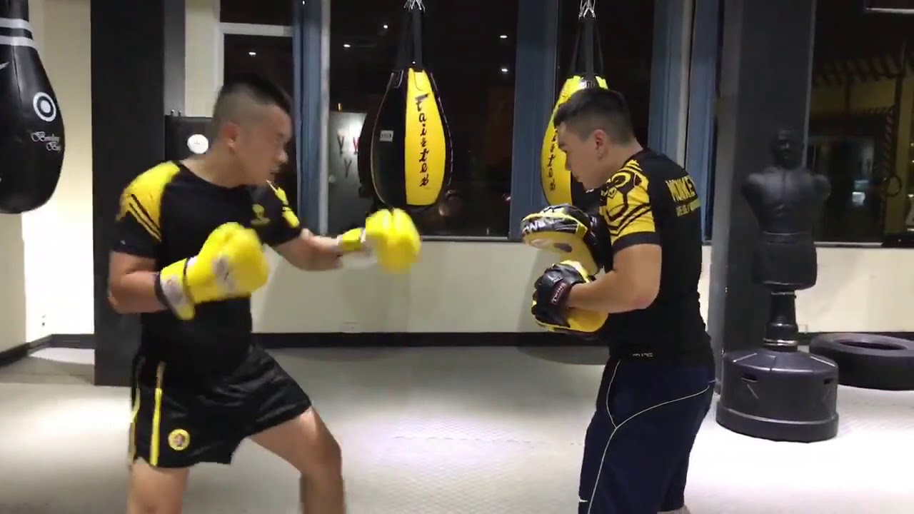 MONKEY BOXING - UpperCut 1 - YouTube