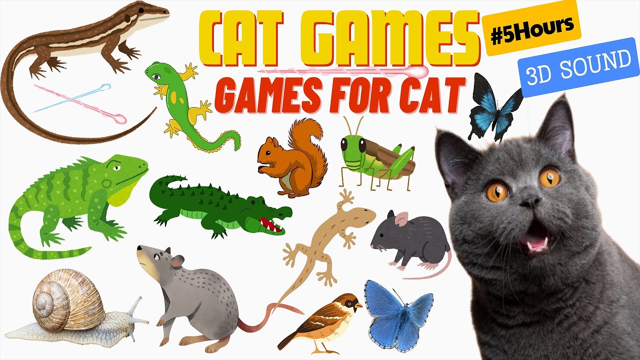 CAT GAMES - Laser 3D Sounds | Ultimate Games Compilation Catching Mice ...