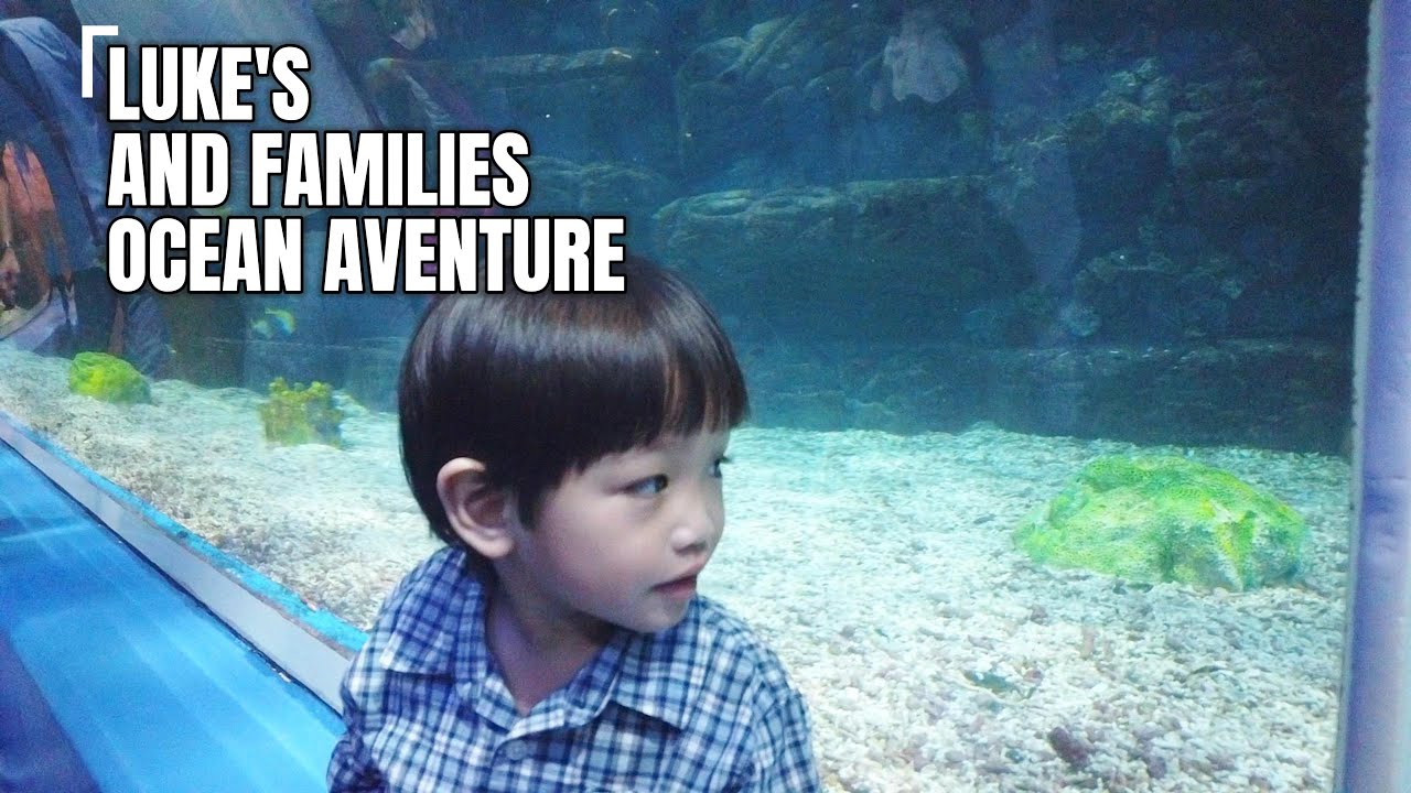 LUKE'S OCEAN ADVENTURE | 4K - YouTube