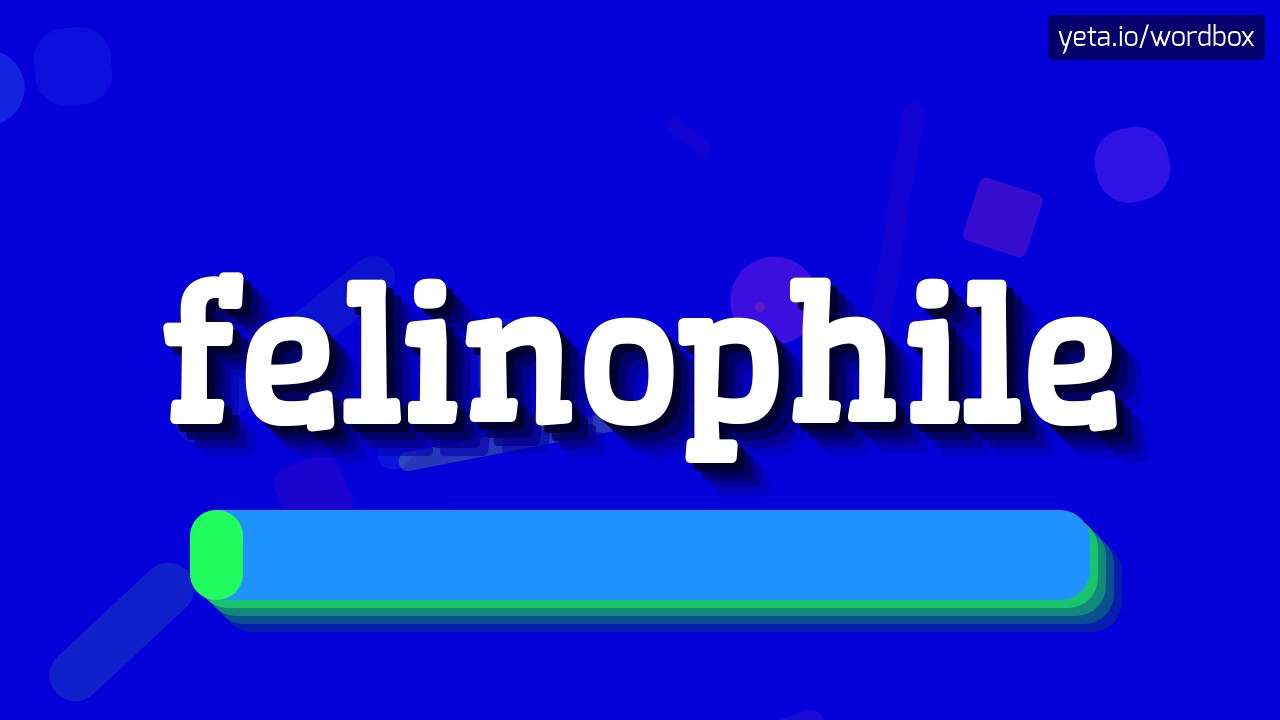 FELINOPHILE - HOW TO PRONOUNCE IT!? - YouTube