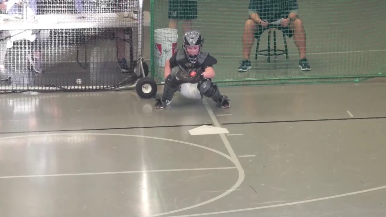 2019 C Jonathan Latham (3) - YouTube