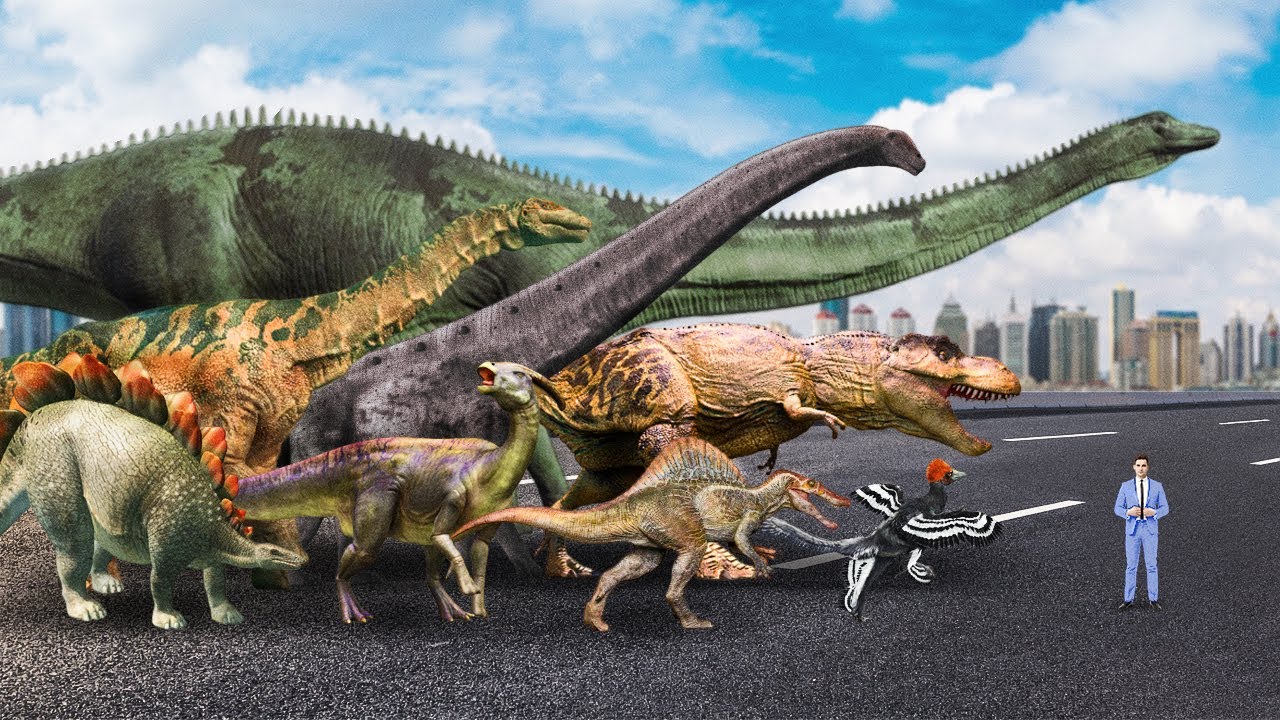 Dinosaur Size Comparison | Animation - YouTube