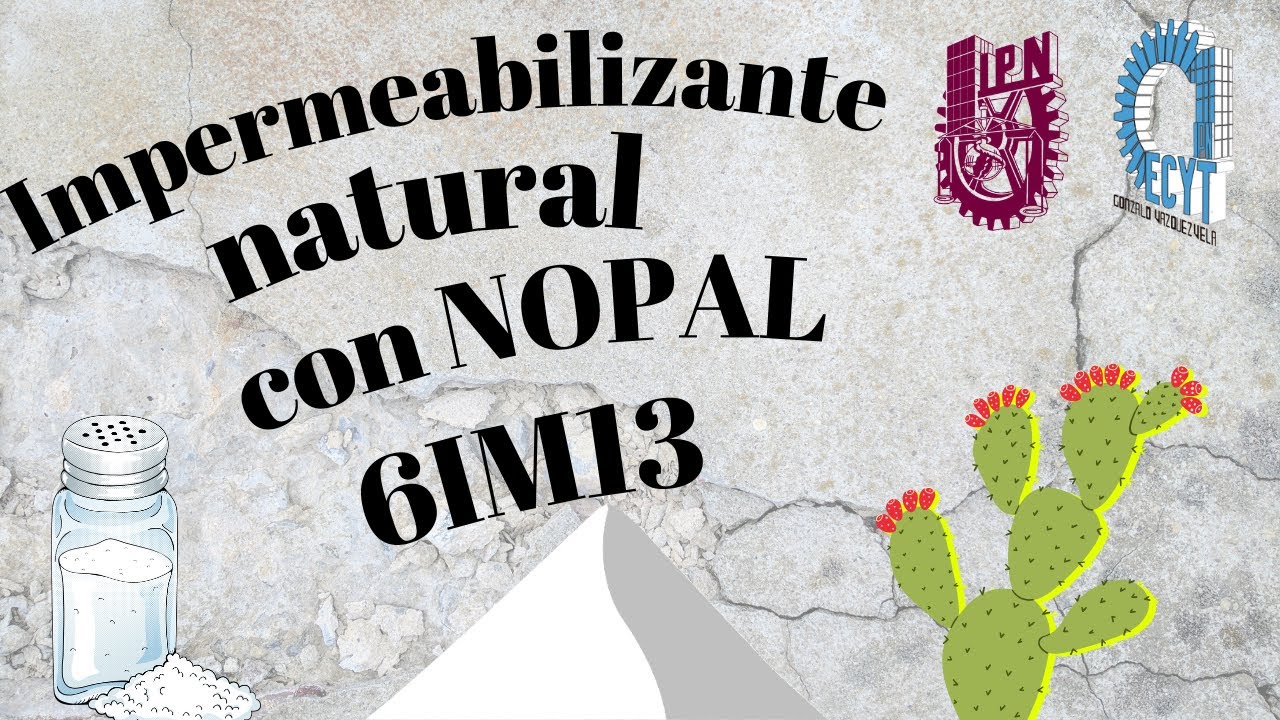 Creacion de Impermeabilizante con Baba de Nopal - YouTube