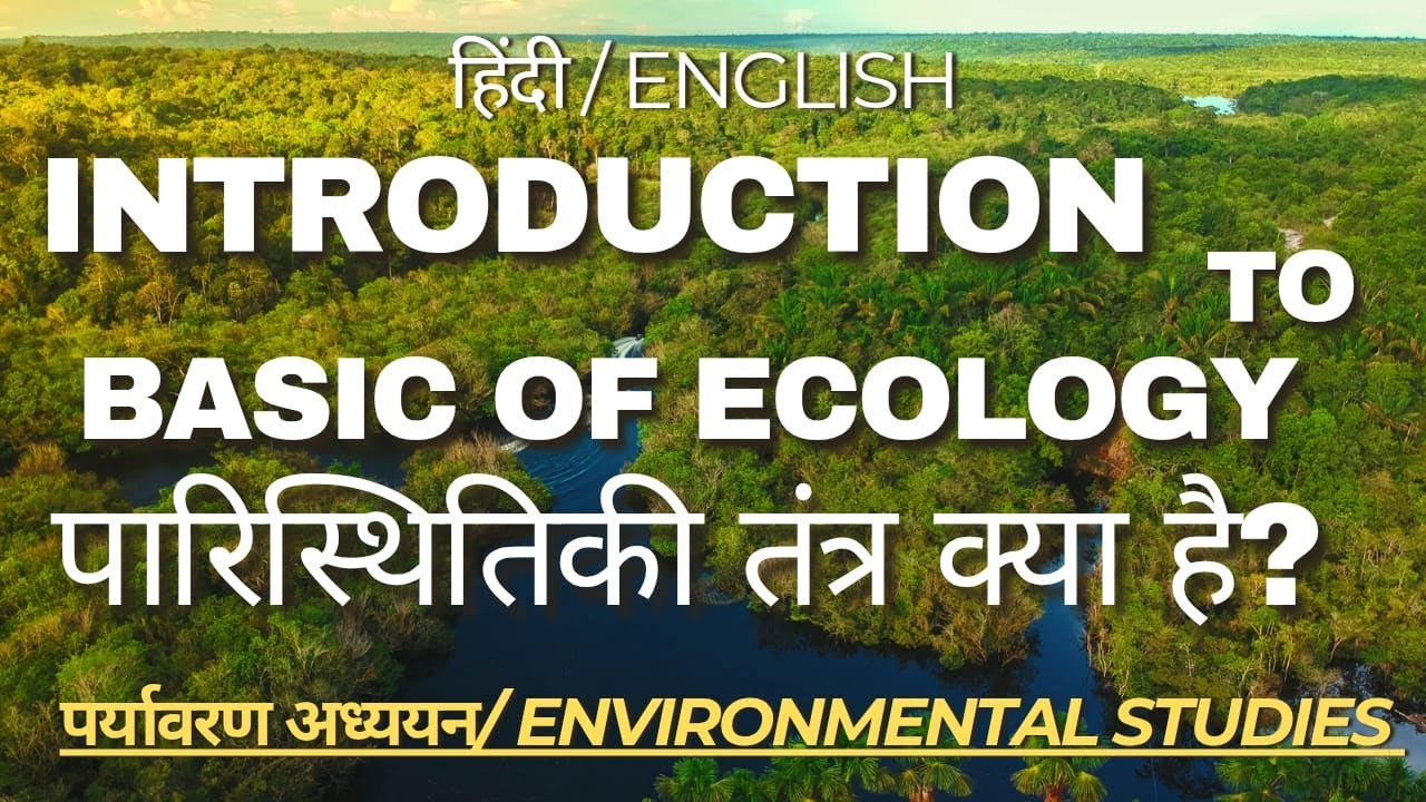 #Basics_of_Ecology#पारिस्थितिकी_तंत्र_के_घटक_प्रकार#Environmental ...