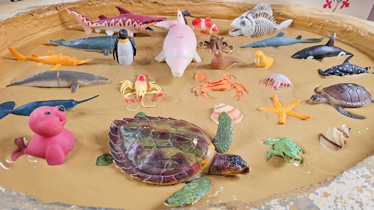 The Magical Sea Creatures Sandbox: An Exciting Marine Adventure in the ...
