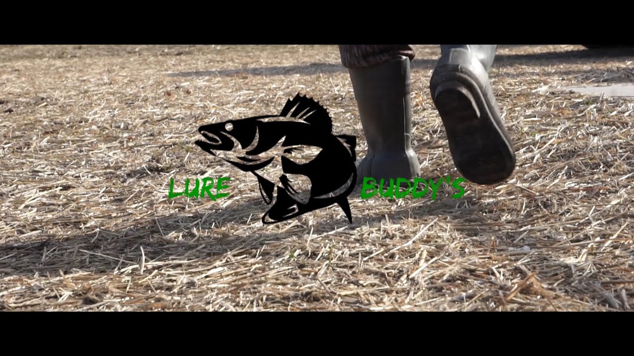 Walleye Run on (Peshtigo River) - YouTube