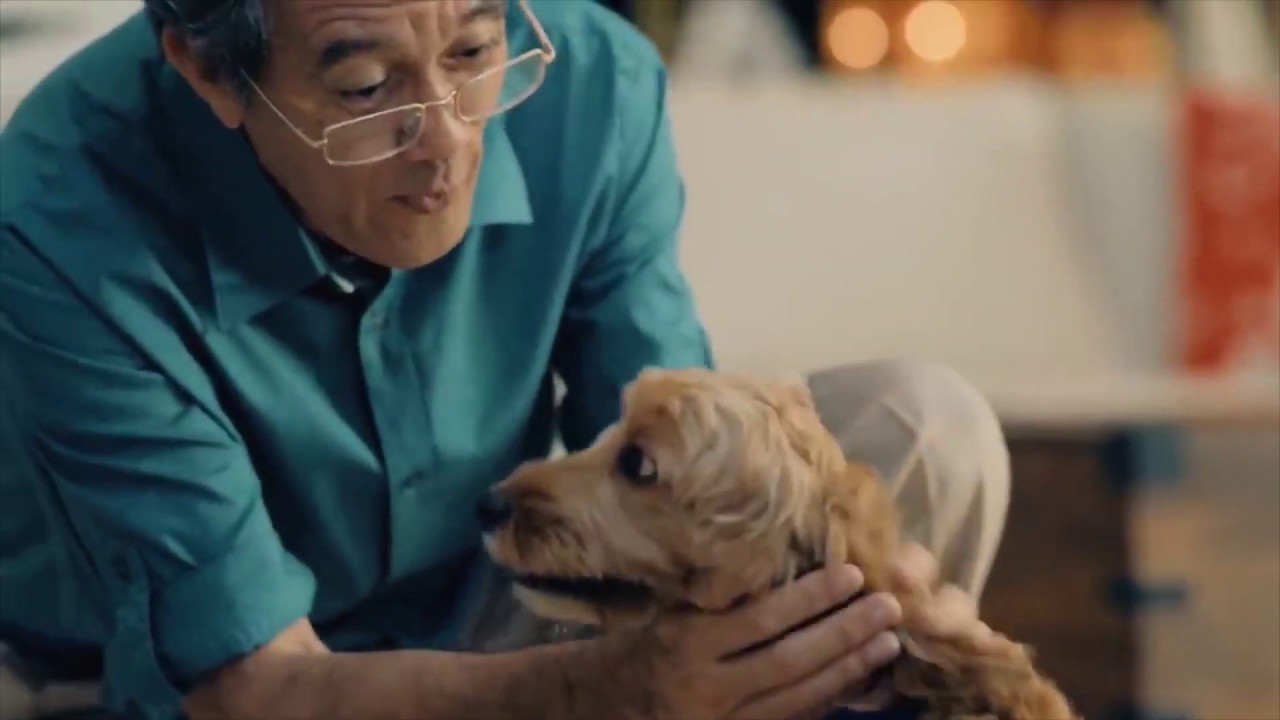 Animal Abuse PSA - YouTube