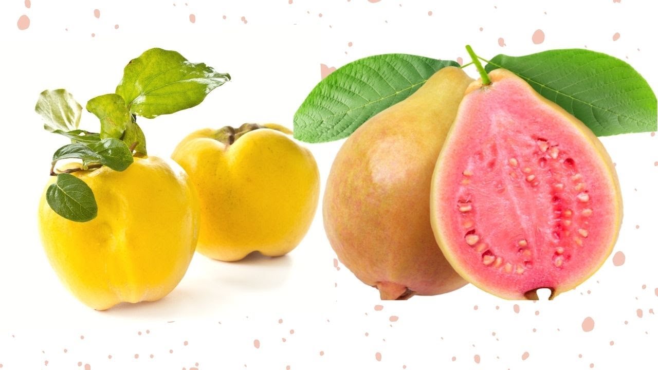 Mermelada de Guayaba y Membrillo - YouTube