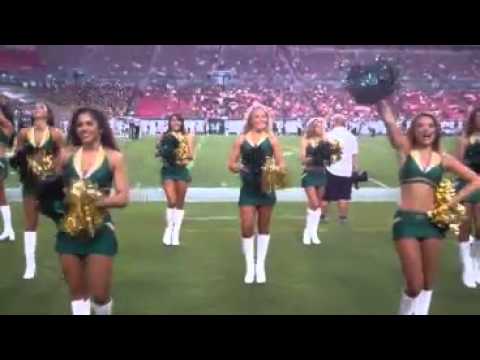 2013 -2014 USF SunDolls - YouTube