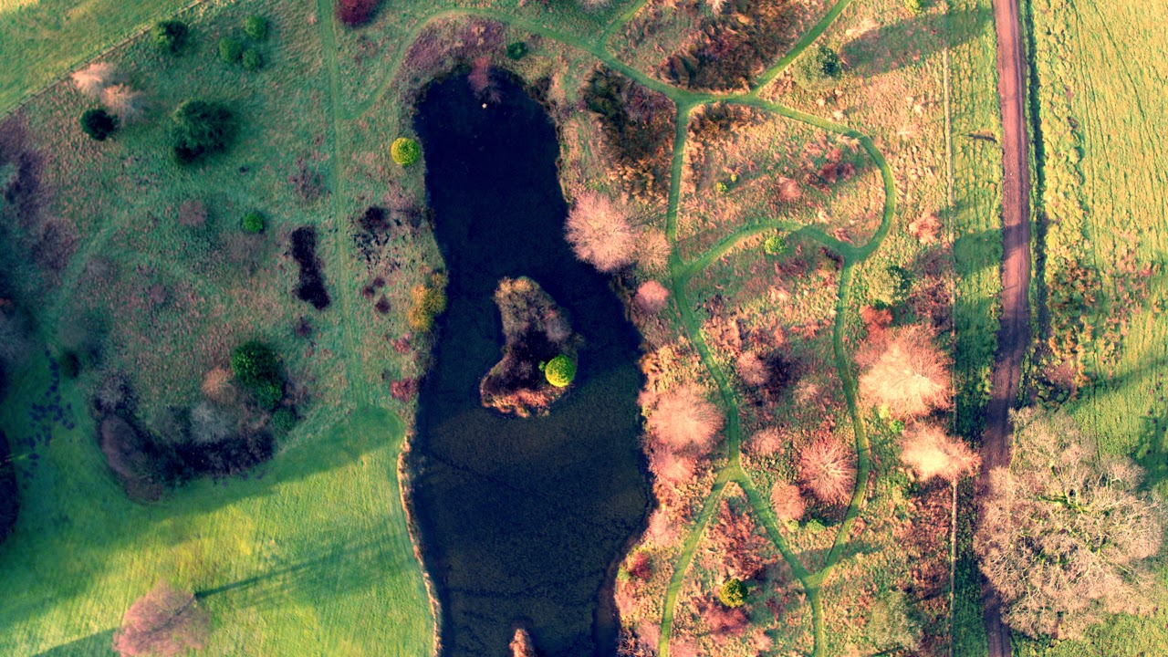 Pond view from above autumn colours - YouTube