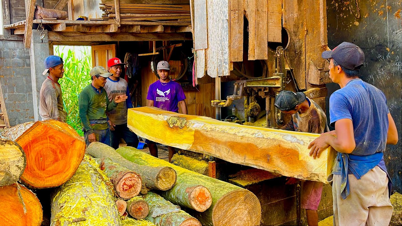 DOUBLE PROFIT! This Export-Quality Jackfruit Wood Was Sawed into Blocks ...