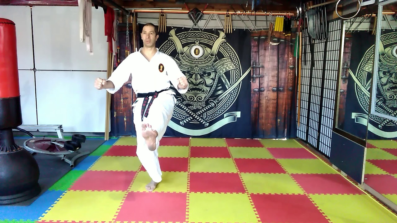 Front thrust kick basic's - YouTube