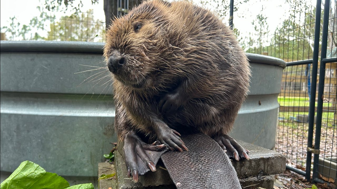 Post holiday feels - YouTube