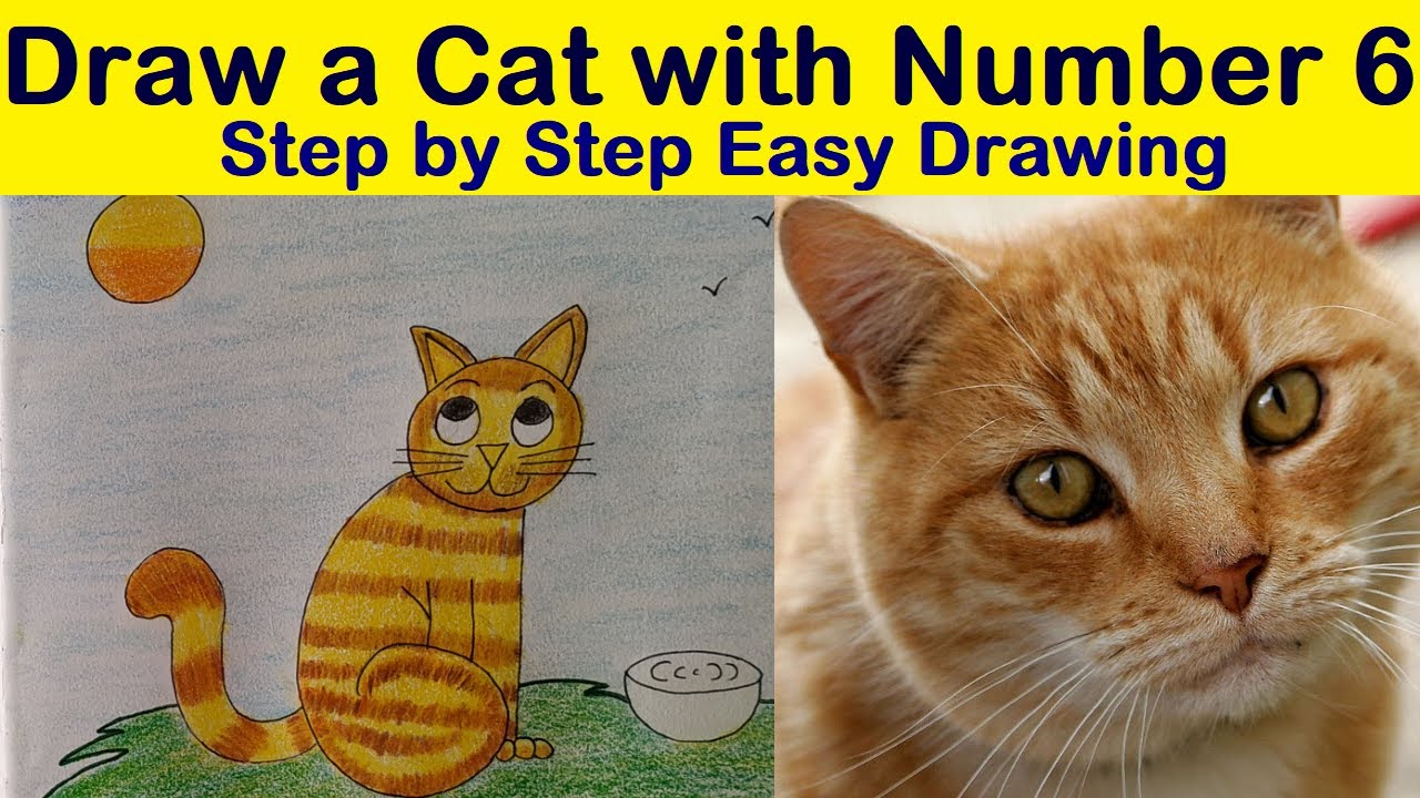 How to Draw a Cat by using Number 6 || Draw a Cat Step by Step || Kids ...
