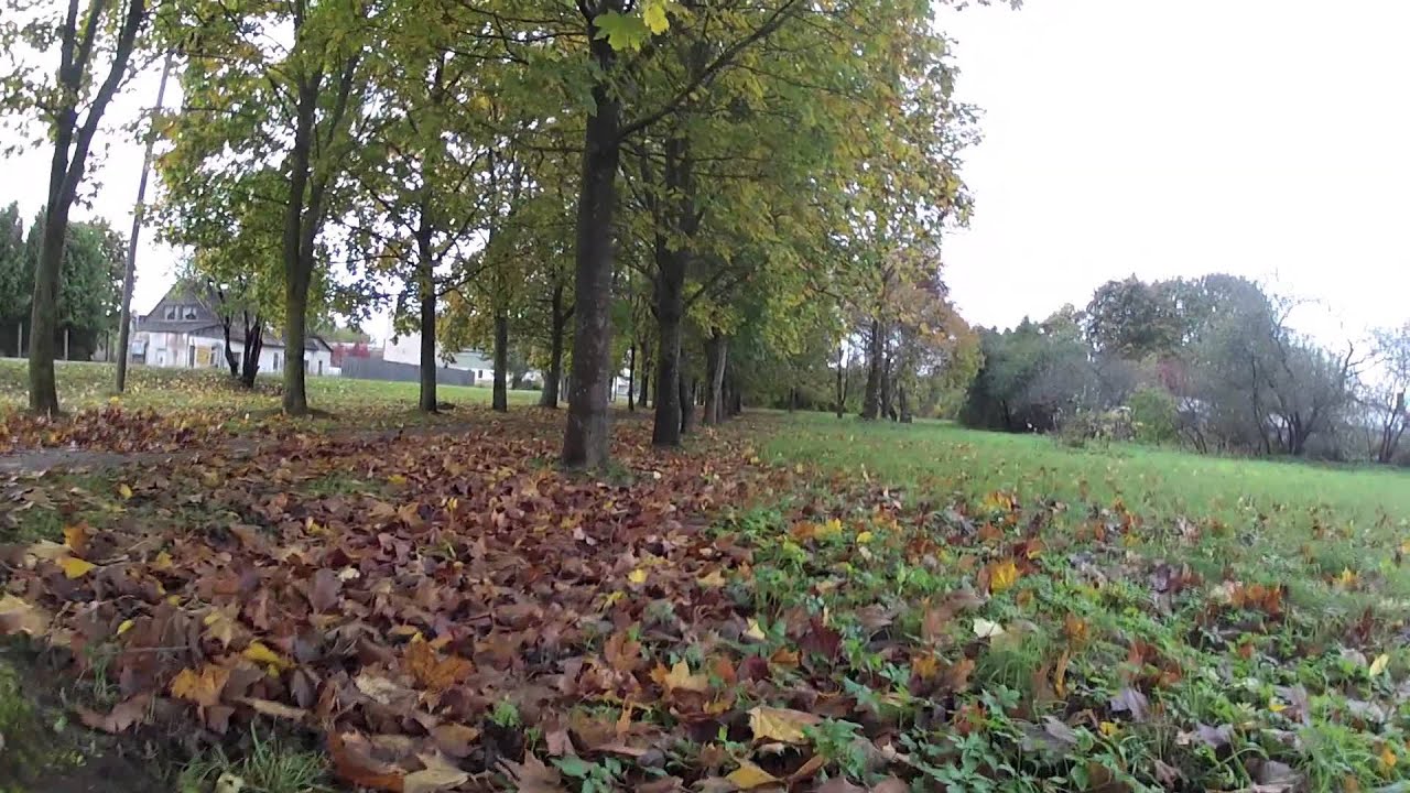 Zelta Rudens 2012, 3D - YouTube
