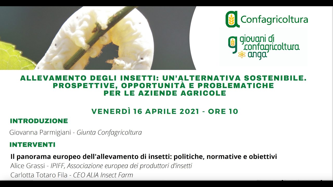 Webinar - Intervento Alia Insect Farm | Confagricoltura - YouTube