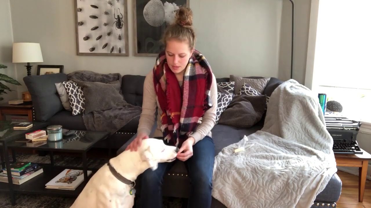 How to Teach Head in Lap - YouTube