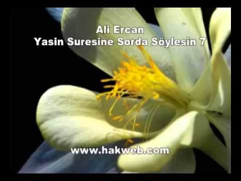 Ali Ercan   Yasin Sûresine Sorda Söylesin 7   www maglupedilemeyenler com