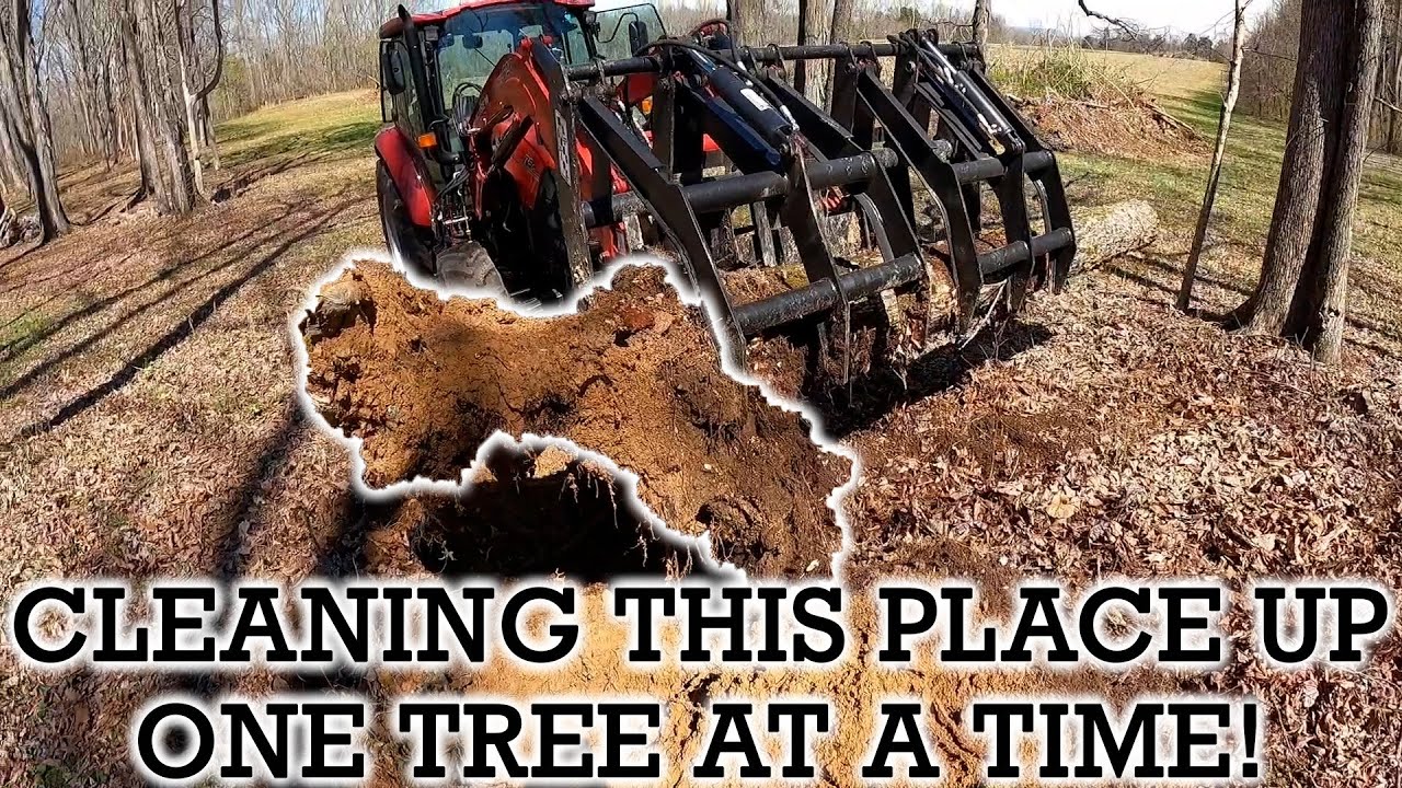 GRAPPLE UP YOUR ROOT BALL & TREE! Tractor Has POWER! Will it have the ...
