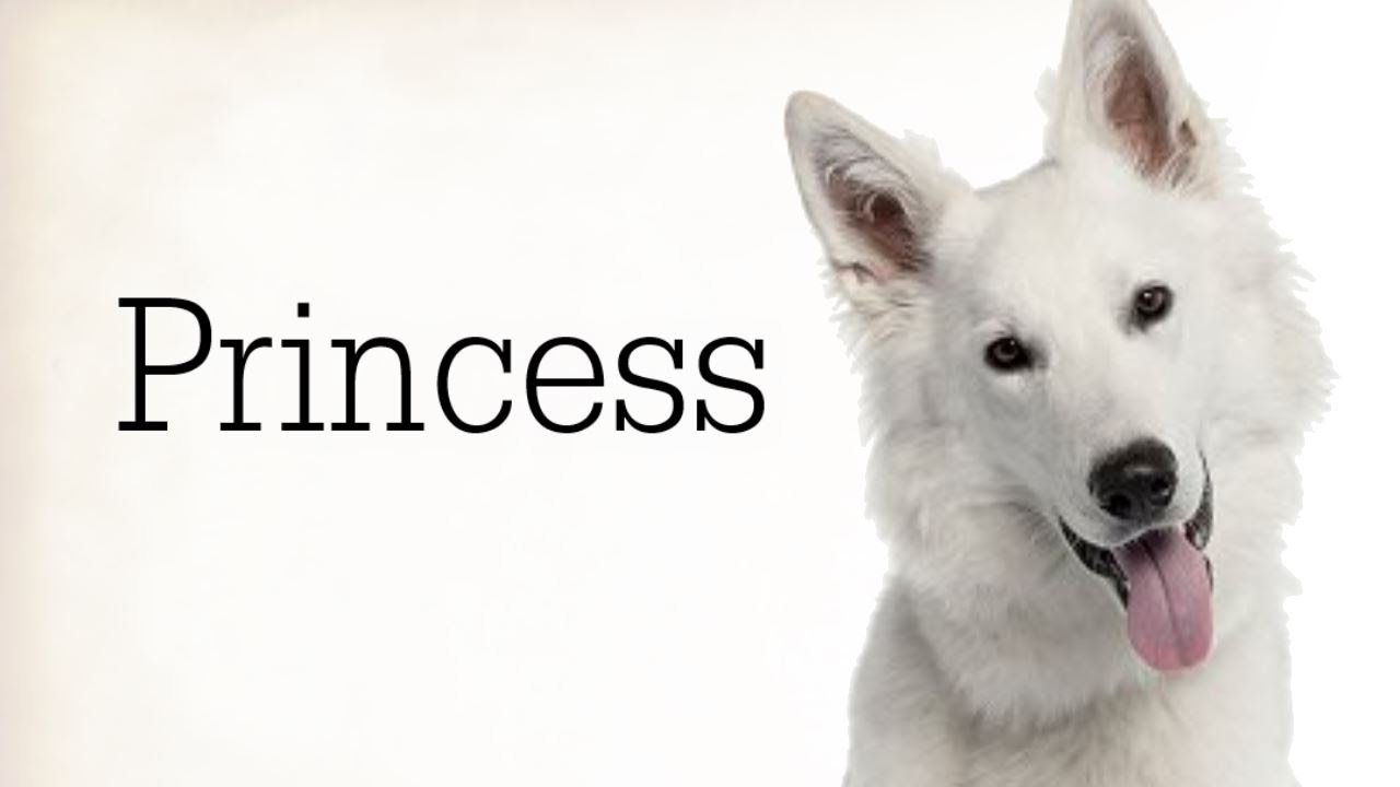 "Princess" Creepypasta - YouTube