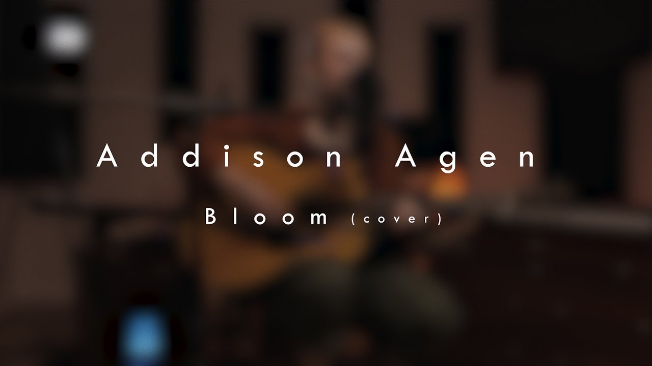 Bloom - Addison Agen (The Paper Kites Cover) - YouTube