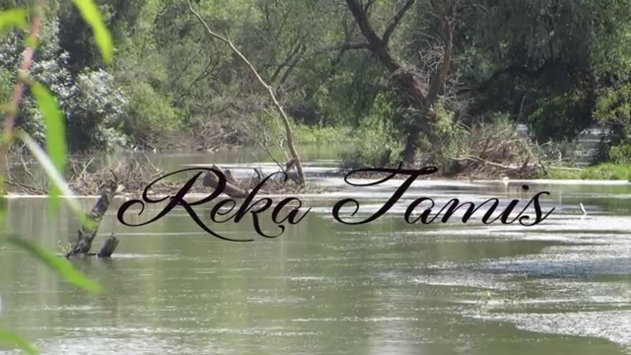 Reka Tamis - YouTube