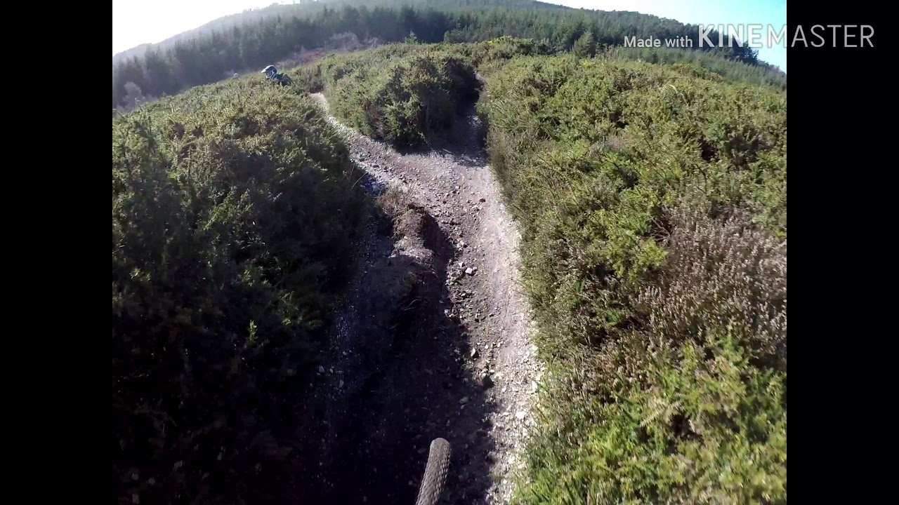 Puddletown forest 10th december-8th february - YouTube