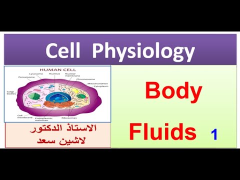 Body fluid Physiology - YouTube